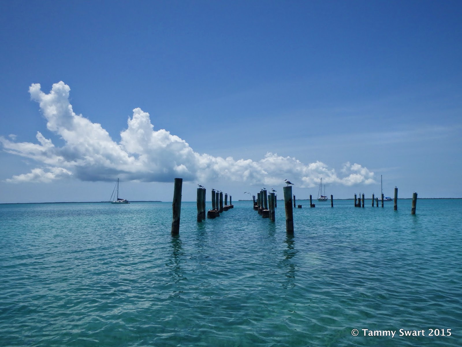 Things we did today...: Exploring Rock Sound