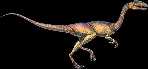 Reptossaurus: SYNTARSUS