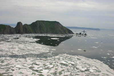 Flyfishing Russia: Feklistova Island (Shantar Archipelago, Sea of Okhotsk)