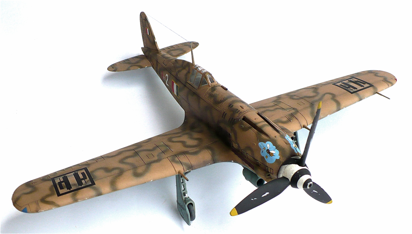 The Great Canadian Model Builders Web Page!: Macchi C 205 Veltro