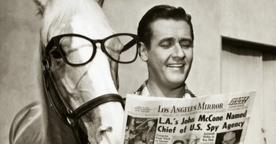 bLOGOS/HA HA: Stable Genius