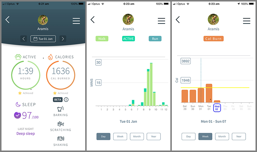 Animo Dog Activity & Behaviour Monitor - Review | Australian Dog Lover