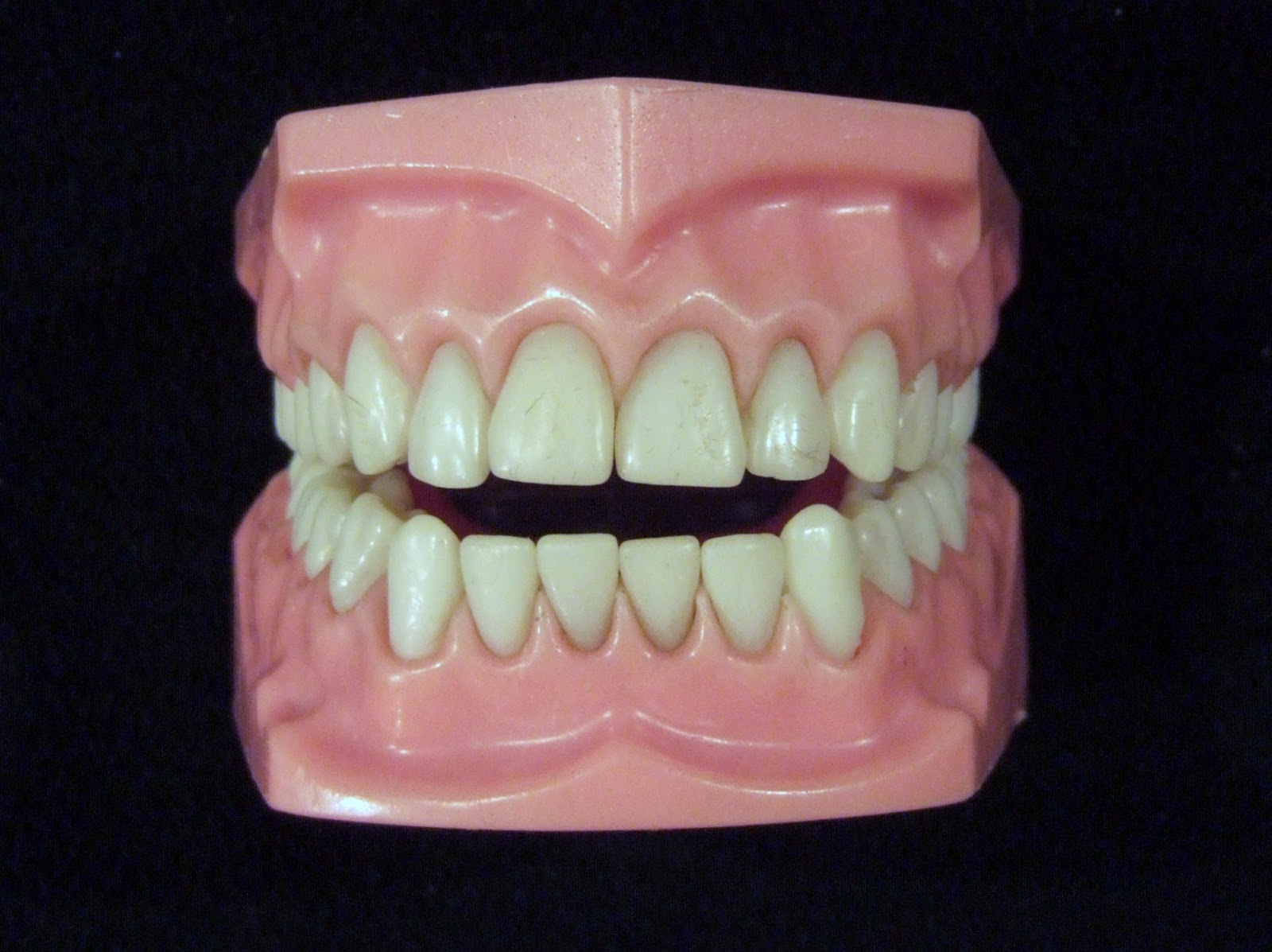 Bargain Bon Vivant: Oddities