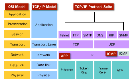 การเขียนโปรแกรมด้วยคอมพิวเตอร์: Protocal TCP/IP