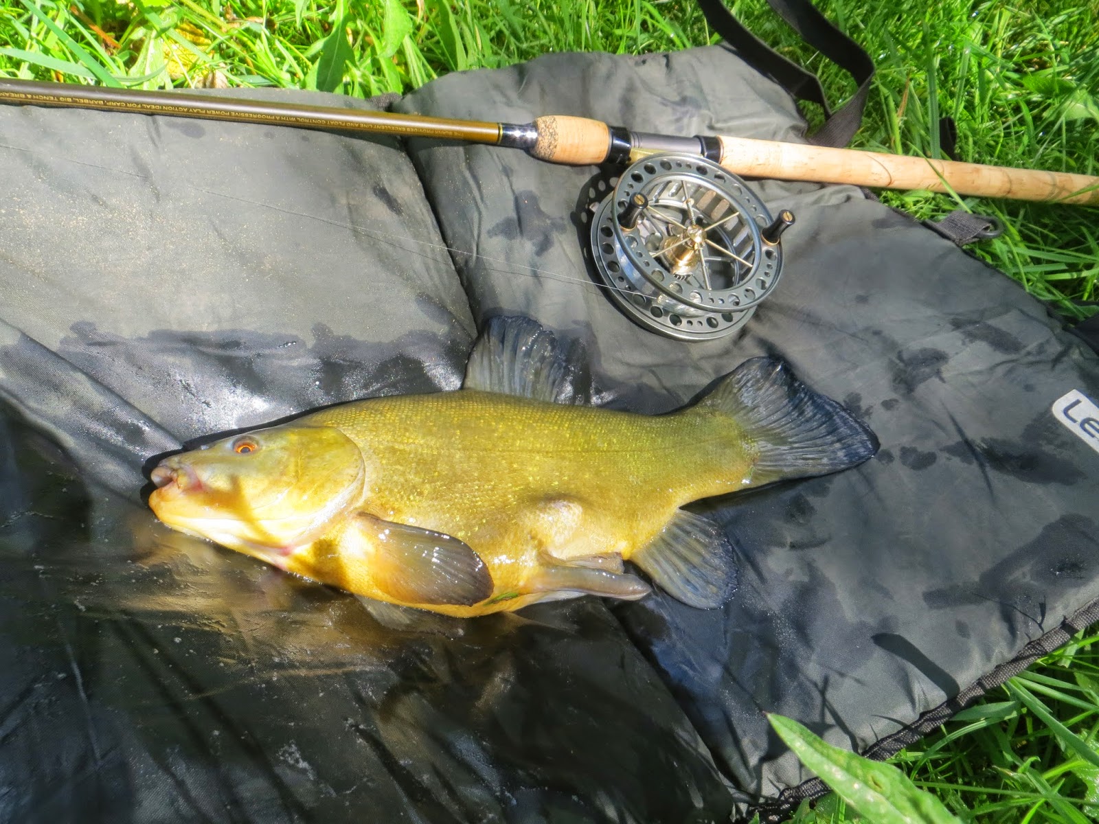 River Angler: Traditional tench tactics - Lift Method and Centrepin