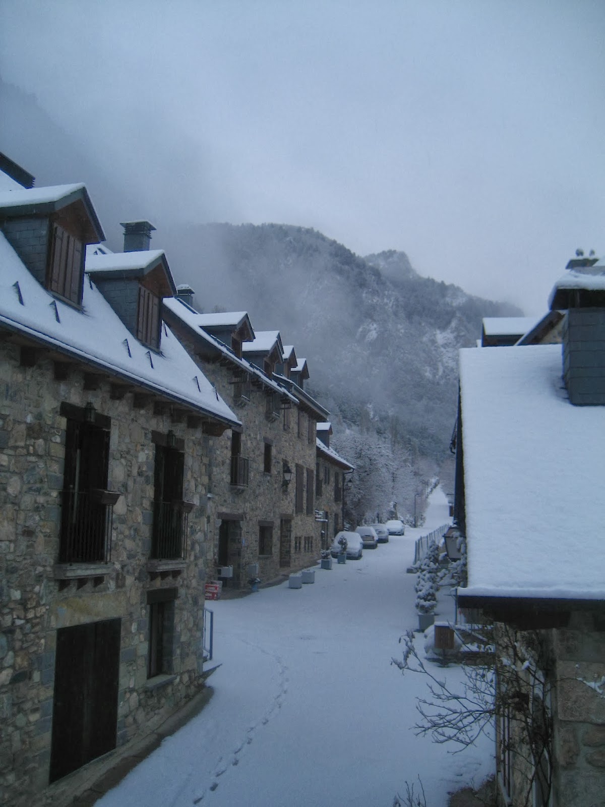 El bosque de trimbolera : Nieva, nieva