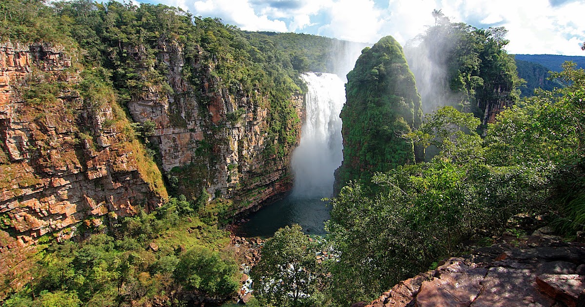 Nick's Adventures Bolivia Tours: The best Amazon Rainforest and Jungle ...