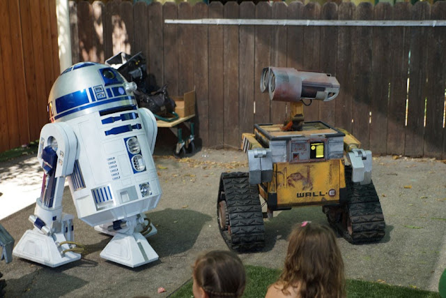 Bola da Foca: Veja imagens do Wall-E da vida real