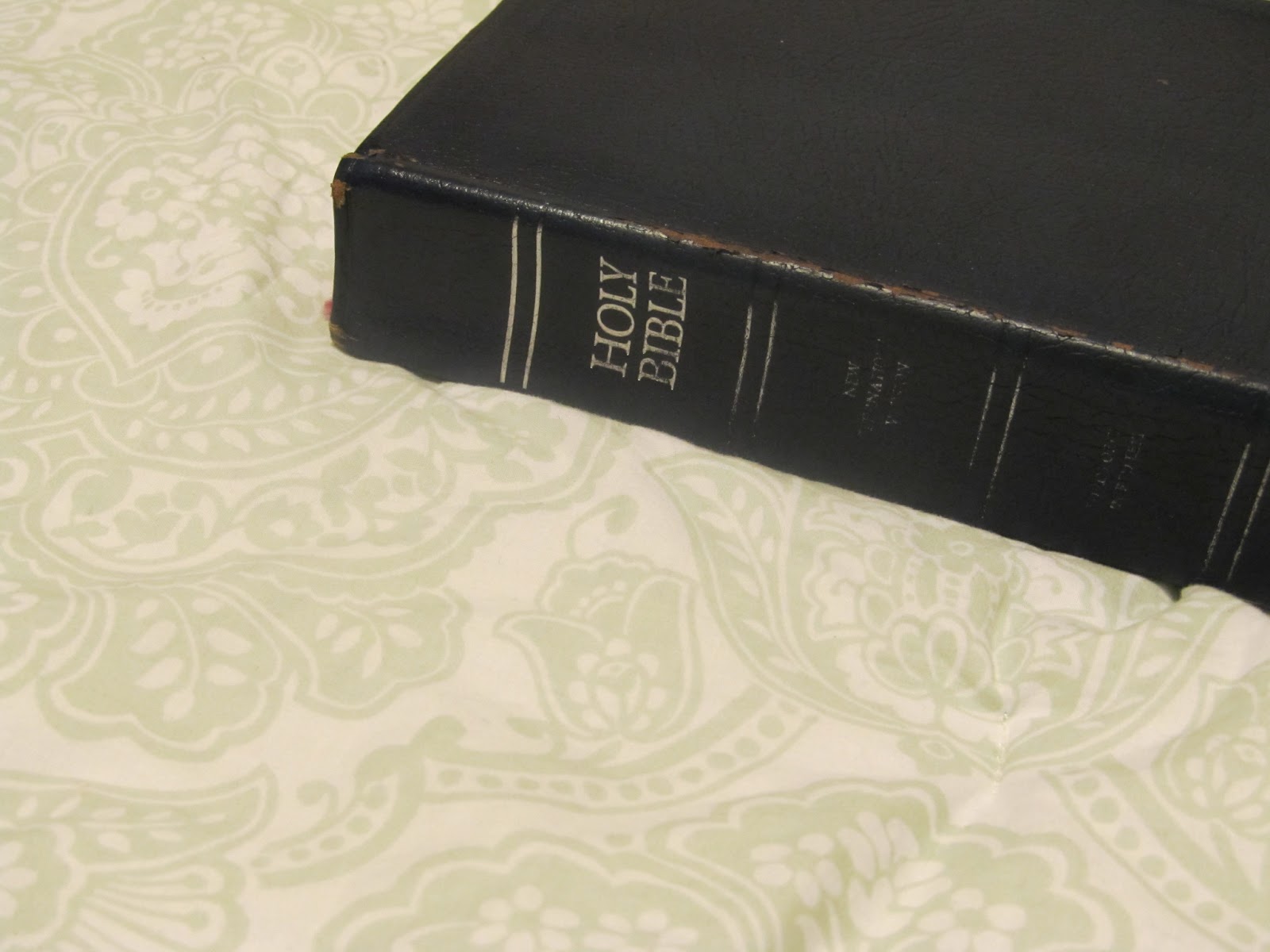 Carol McAdams Moore - Blog: They Lined Up