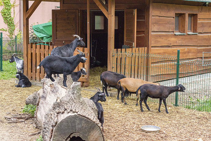 Hobby Park Bohumin | Czechy