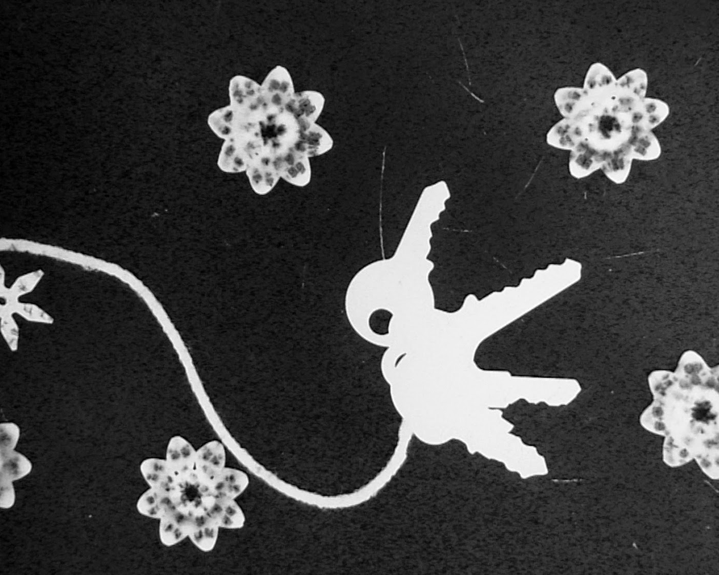 Jerdee's Art Classes: Black and White Photography: Photograms