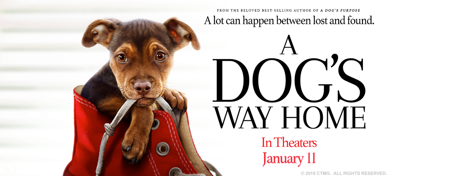 A Dog's Way Home in Theaters this Friday Jan 11th + Giveaway | Wrapped ...