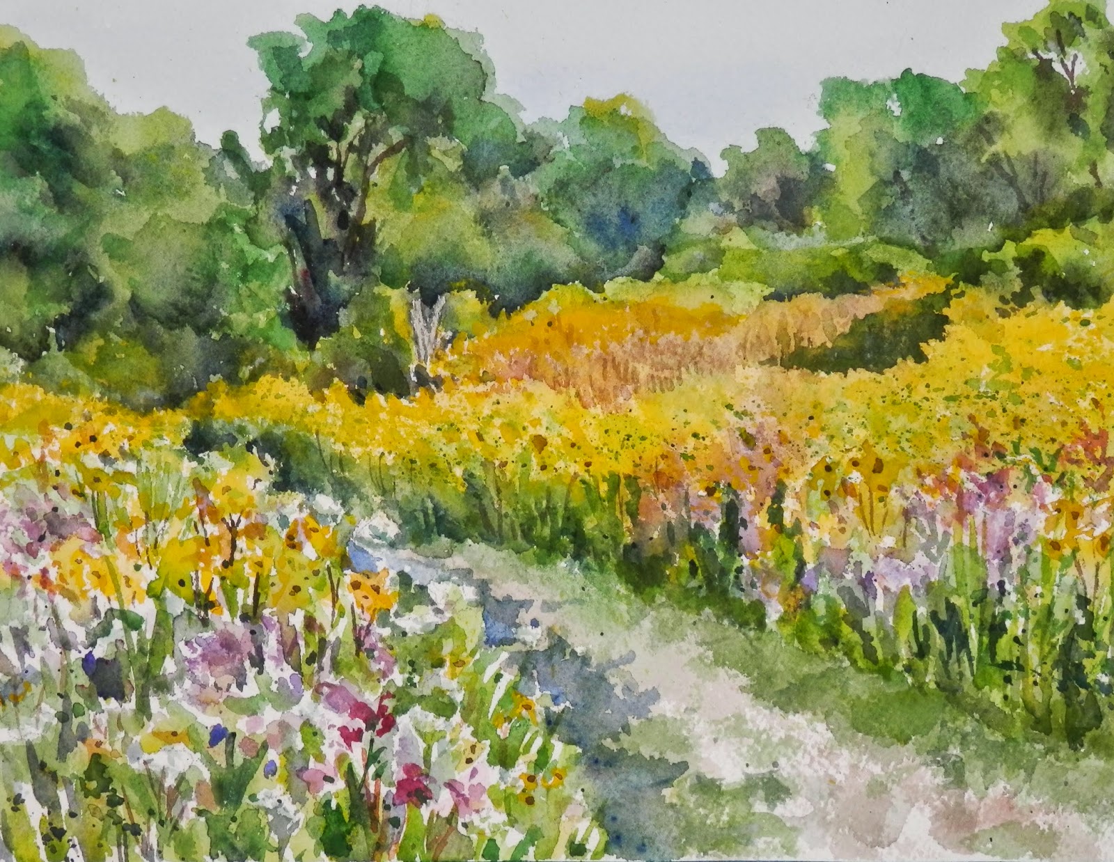 Watercolors By Joan 2 Wildflowers Revisited watercolors-by-joan-2-wildflowers-revisited