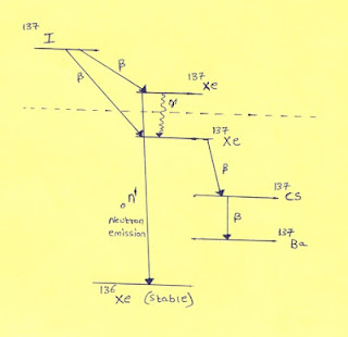 Conceptual Physics: What are PROMPT and DELAYED Neutrons in Nuclear ...