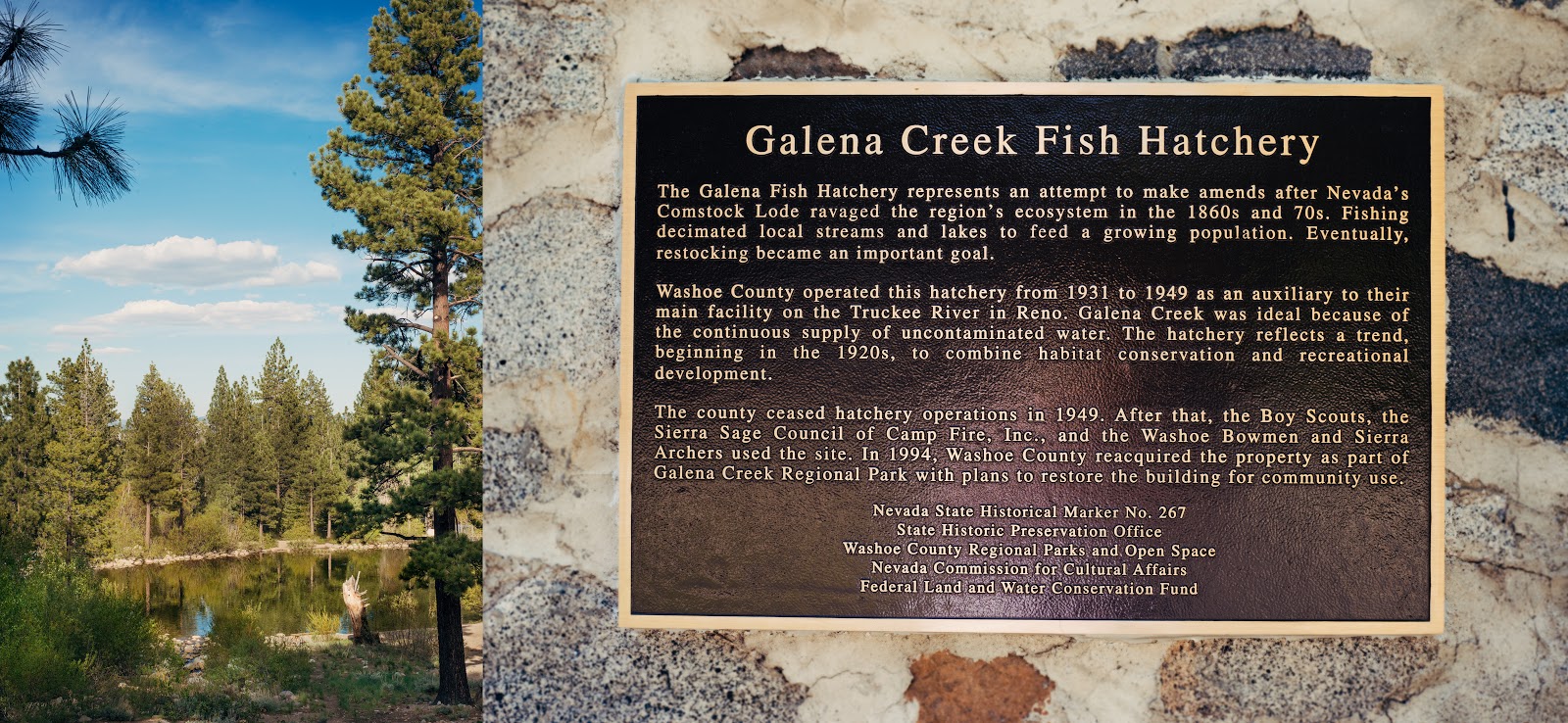 Reno | Tahoe | Cabo | Photographer; Portrait Artist Skye Snyder ...