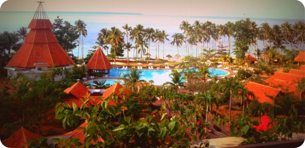 PAD Biak Numfor Didominasi Pajak Hotel dan Restoran - #PapuaUS - Papua ...