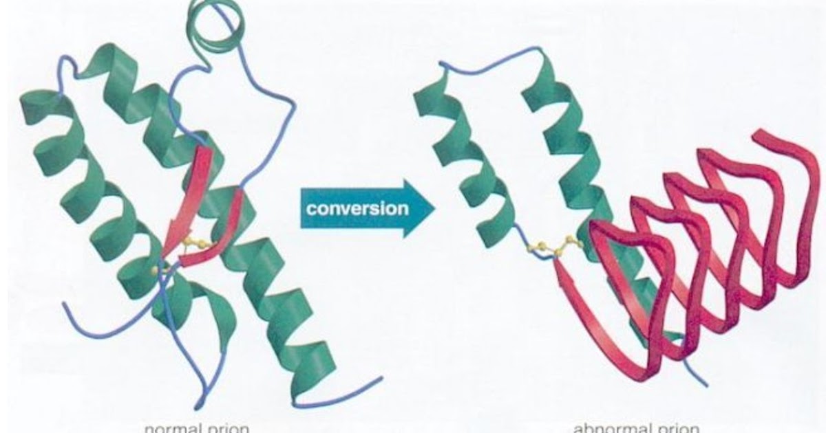 Liga Universitária de Imunologia-Universidade Federal de Uberlândia ...