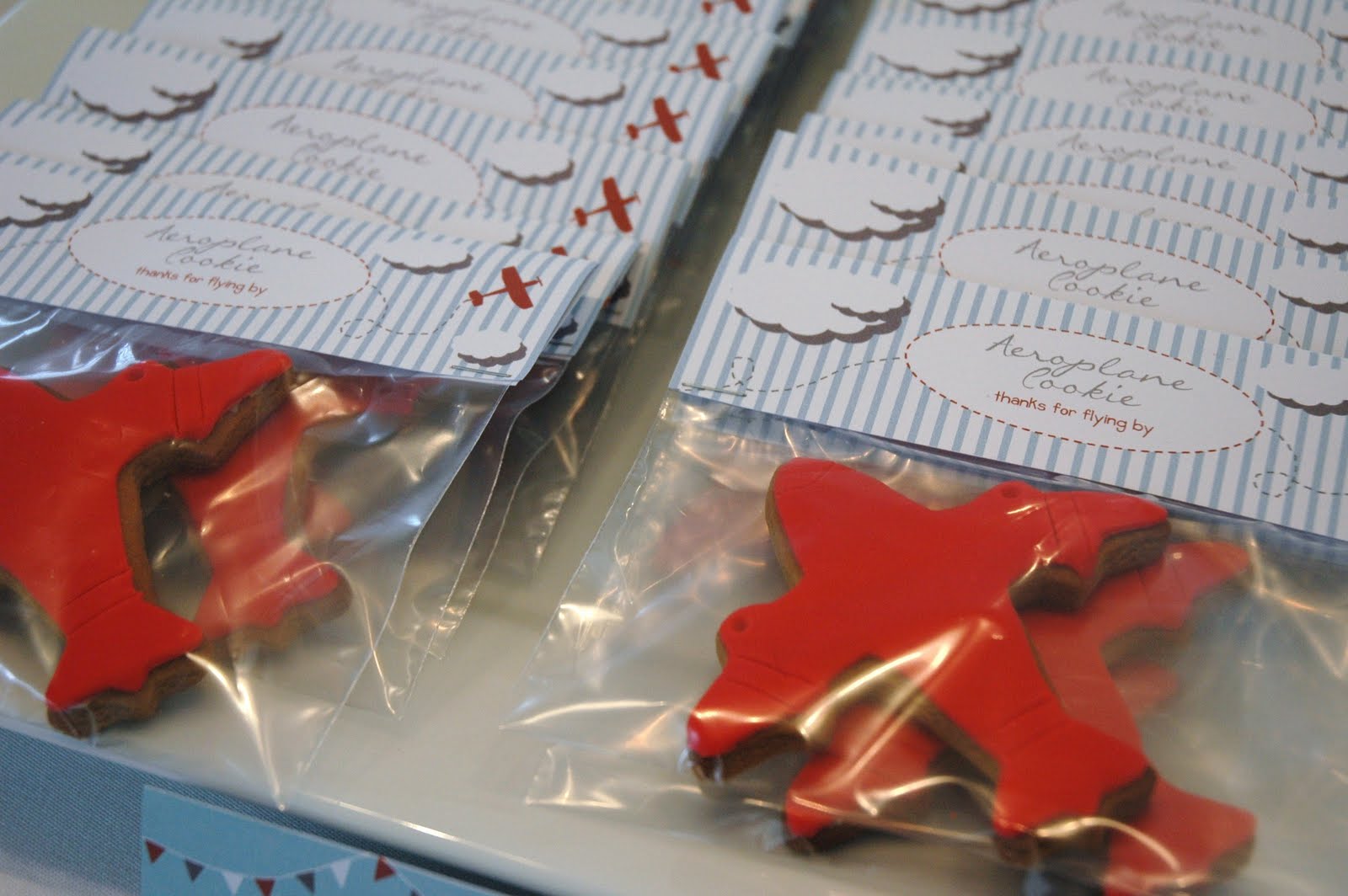 MON TRESOR: REAL PARTY SUBMISSION: Aeroplane Party!