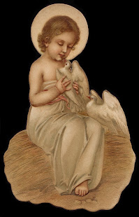 Nest of the Doves: Our Lady of the Doves
