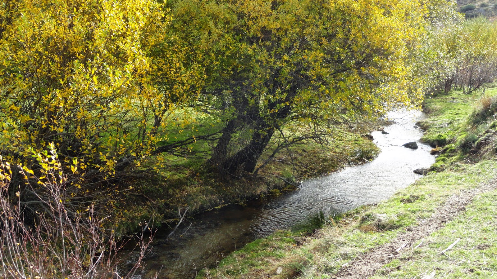 EL BICIERRANTE: NACIMIENTO DEL ADAJA Y VALLE DEL CORNEJA