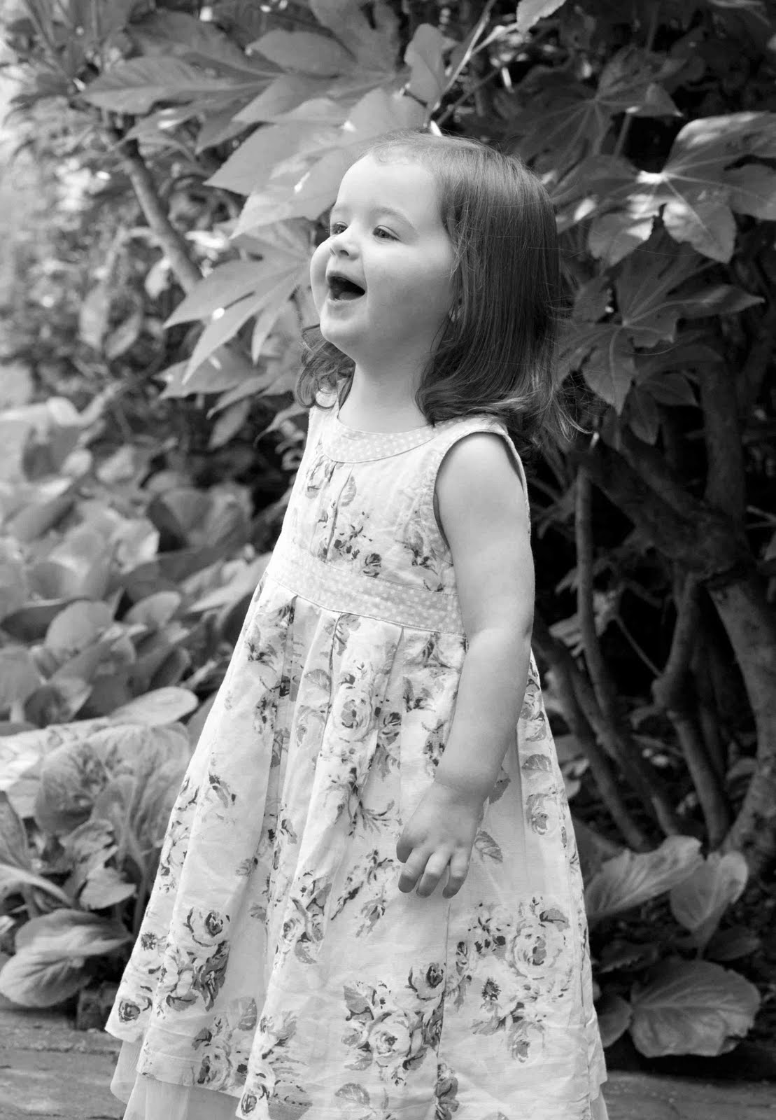 phil the photographer: Little Macey