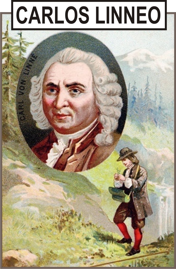 Bioblog Los Olivos 2015 1ºESO