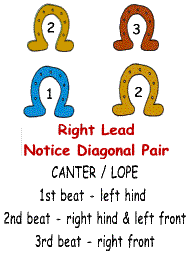 A GREEN HORSE is a NATURAL, ECONOMICAL and ECO-FRIENDLY WAY to a ...