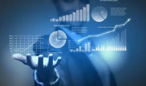 Which country in Asia has the most developed computer software industry ...