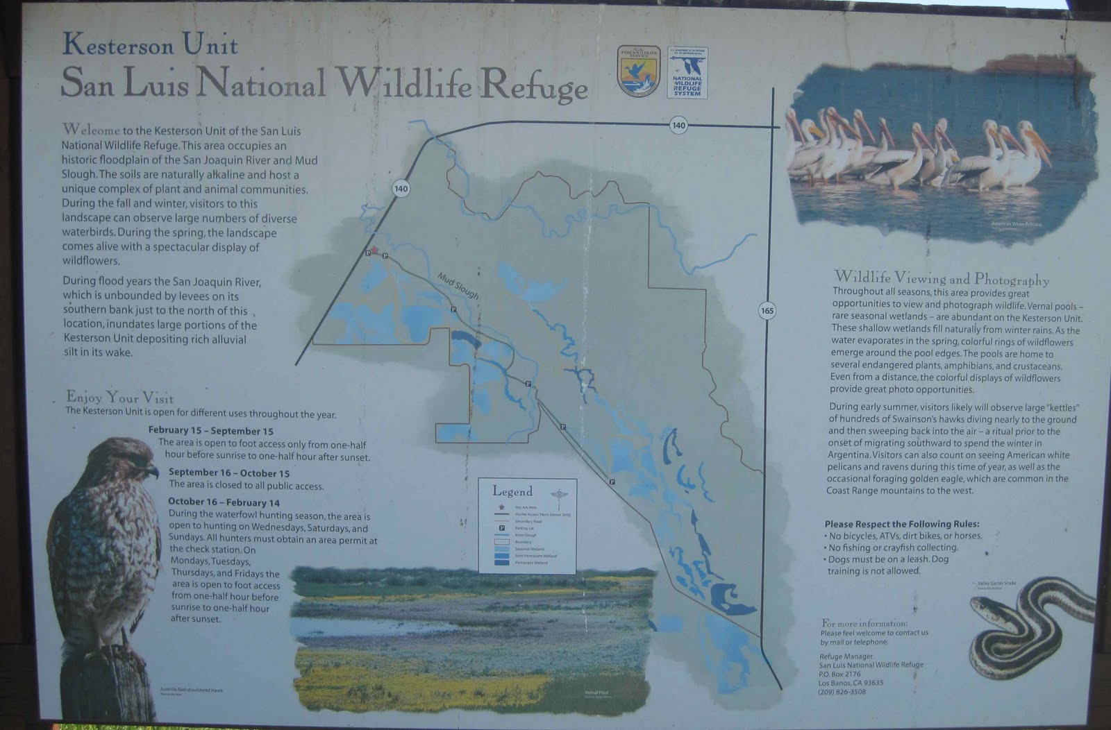 Tree in the Door's Fauna and Flora: Kesterson Wildlife Refuge