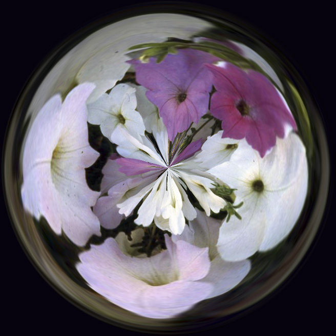 Cosas que quiero contar: Flores encapsuladas III
