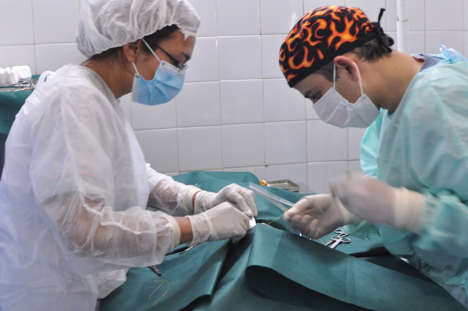 Embarcacion - Salta: EXITOSA CAMPAÑA DE CASTRACION