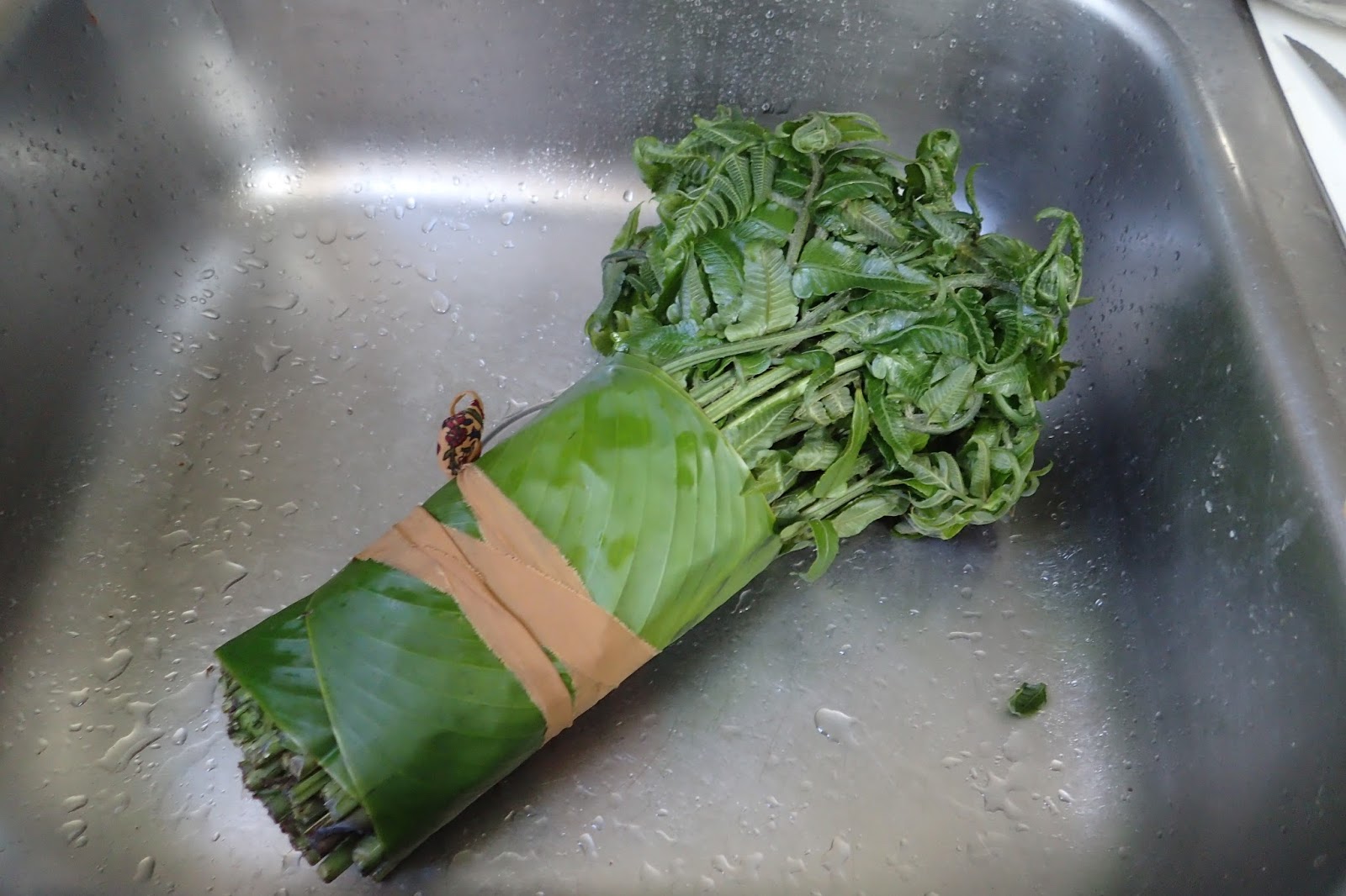 Galley Wench Tales: Ota: My Fijian Ferny Culinary Flop