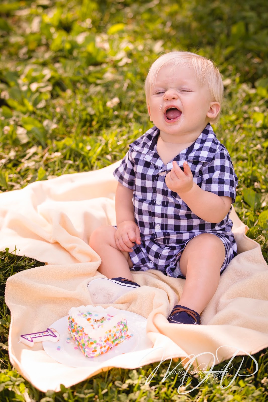 MHaas Photography: Not a Cake Fan | Louisville, KY Child Photographer