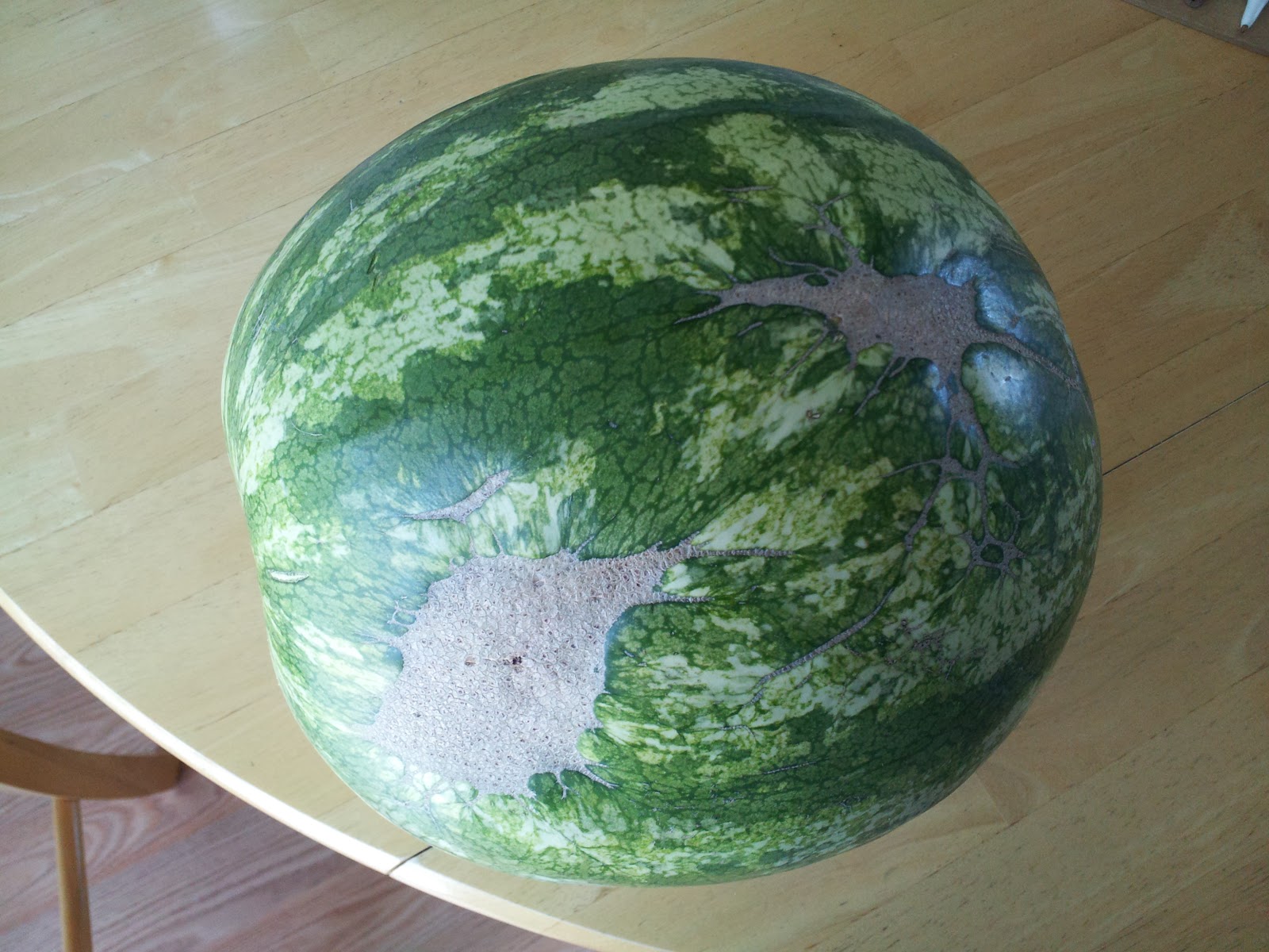 The Rileys Ride: 2012