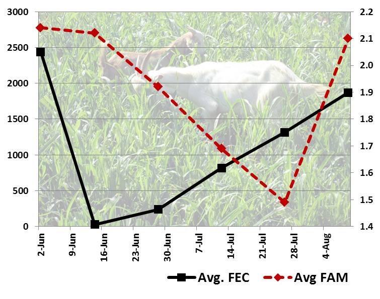 Western Maryland Pasture-Based Meat Goat Performance Test: FAMACHA vs. FEC