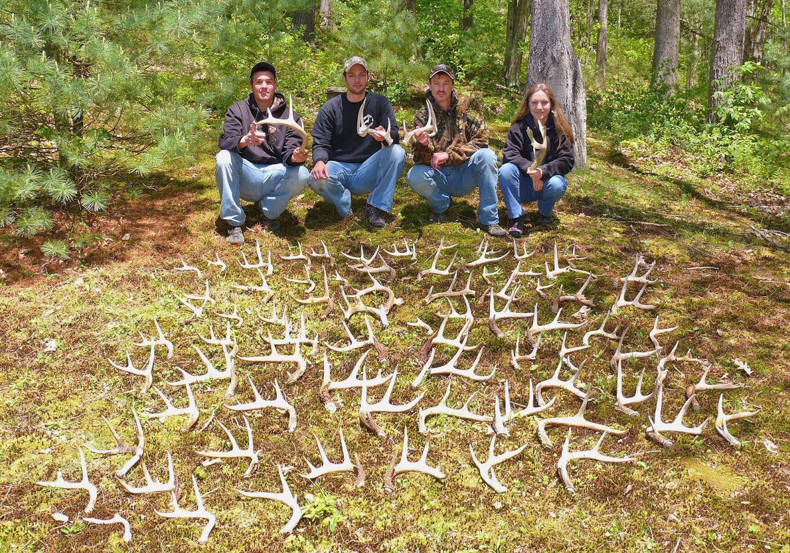 The Everyday Hunter®: Is Economic Decline Tied to Fewer Deer?