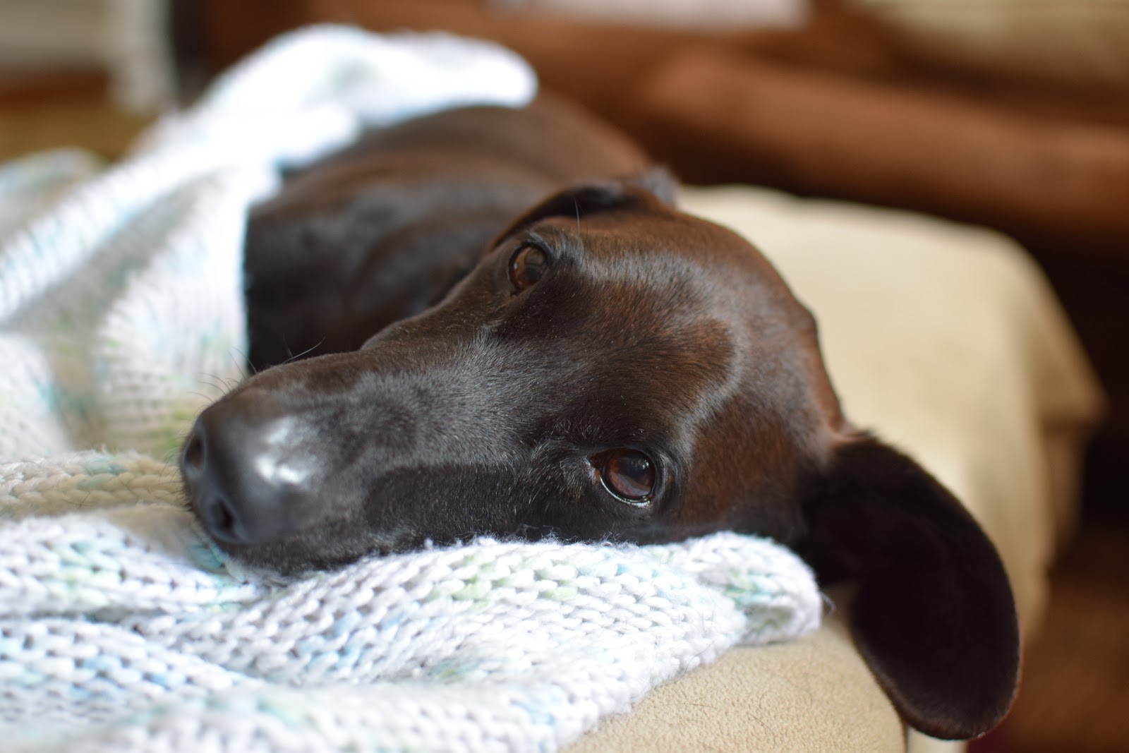 crumbs from His table