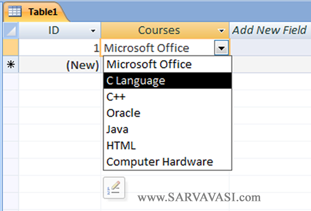 Sarvavasi Online Computer Training Institute Microsoft Access Day Five