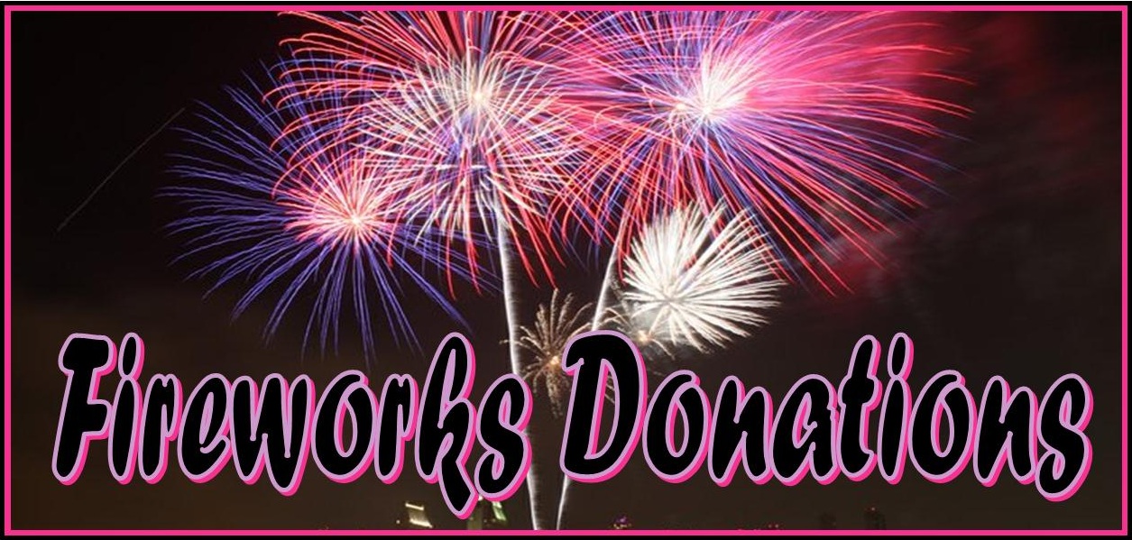 Angle Lake Shore Club: Volunteers Make it Happen. Volunteers Needed!