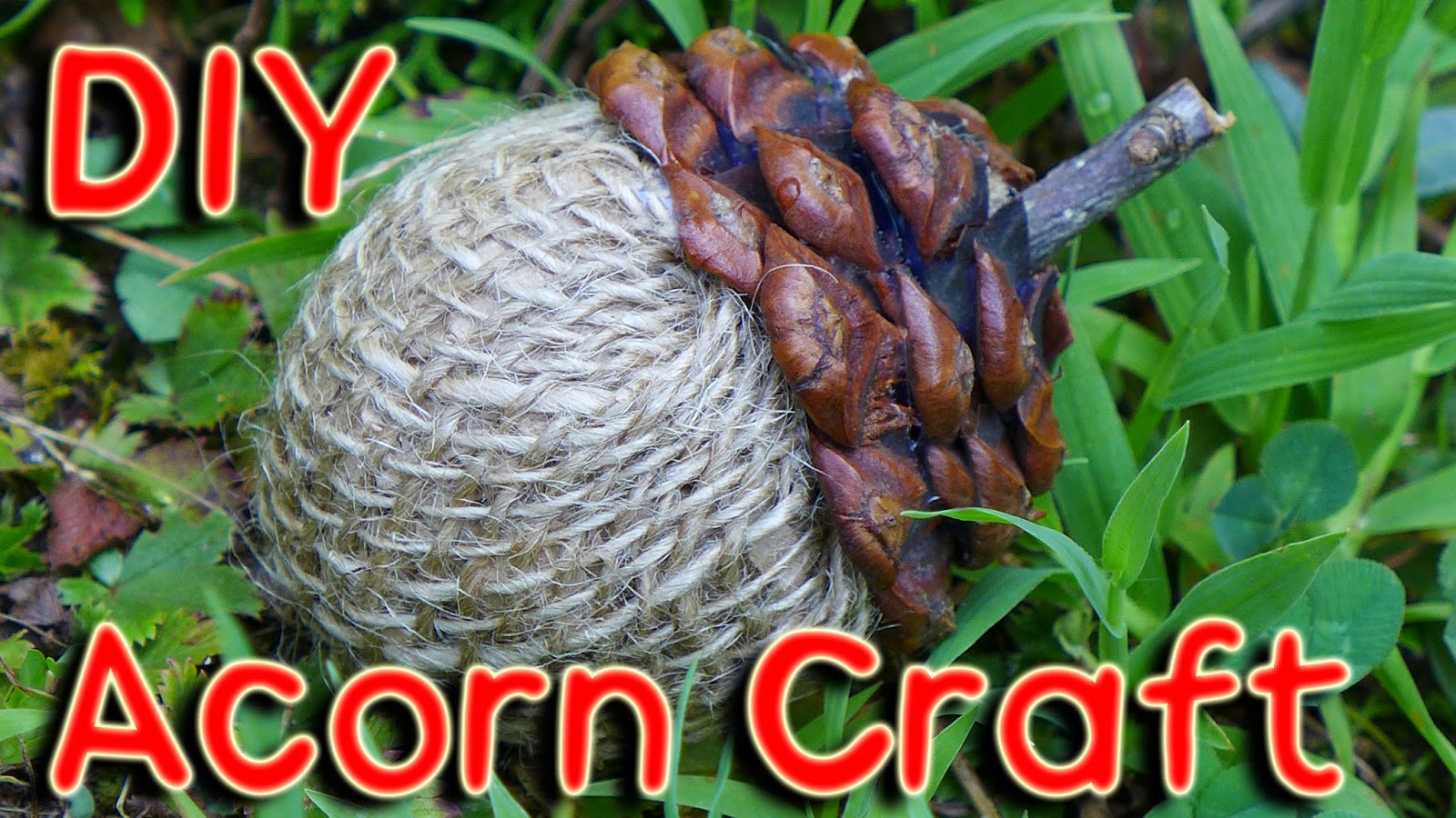EasyMeWorld: DIY Acorn Craft