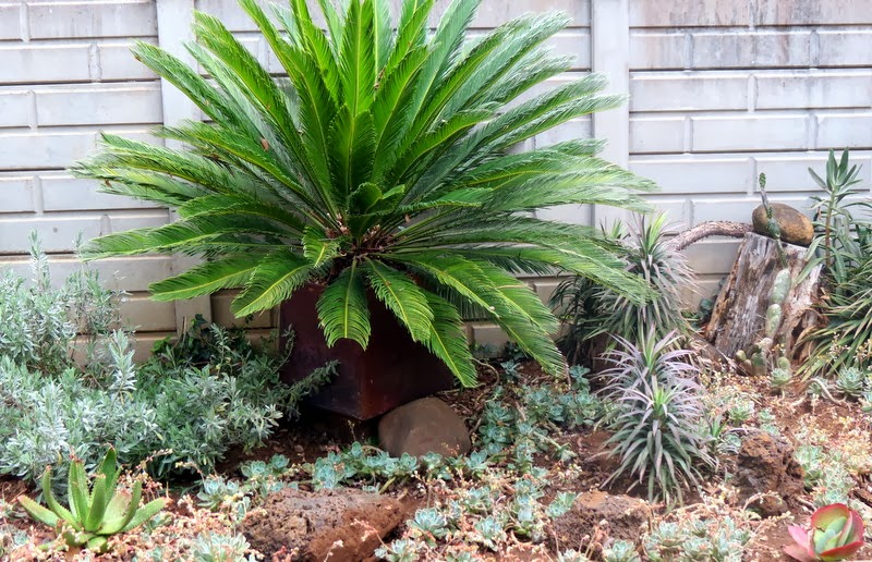 Kreatiewe Joernaal: broodboom