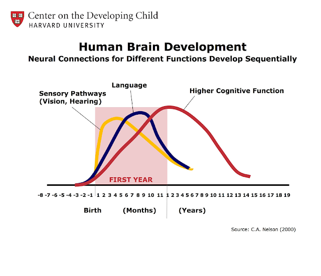 Learning in the Early Childhood Years