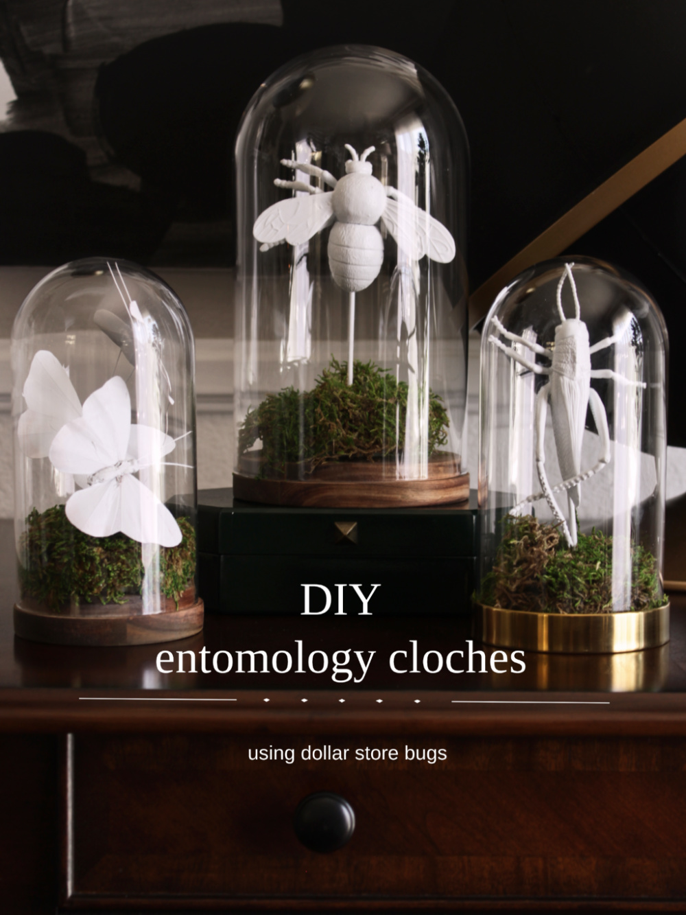 Oscar Bravo Home: DIY Entomology Cloche with Dollar Store Bugs