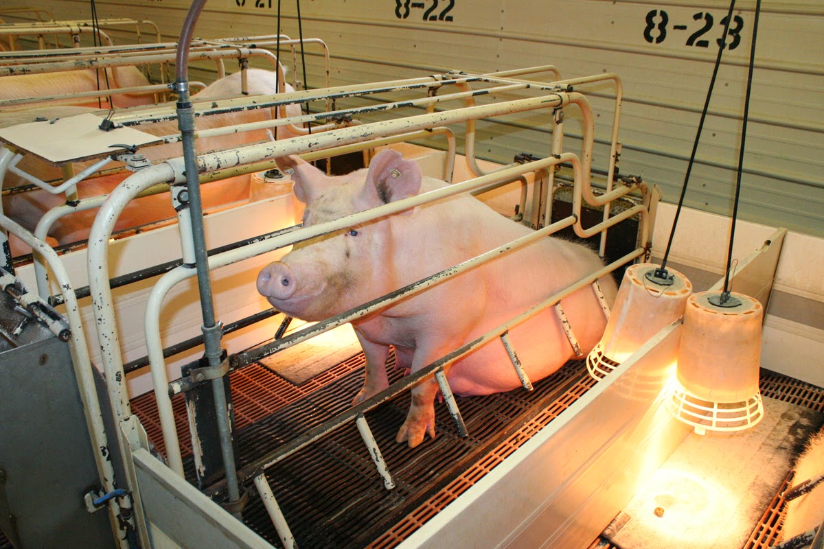 Field Mom Journal: April 2014