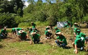 The Global Eco-Village: Tree Planting 101: It Takes More Than Just ...