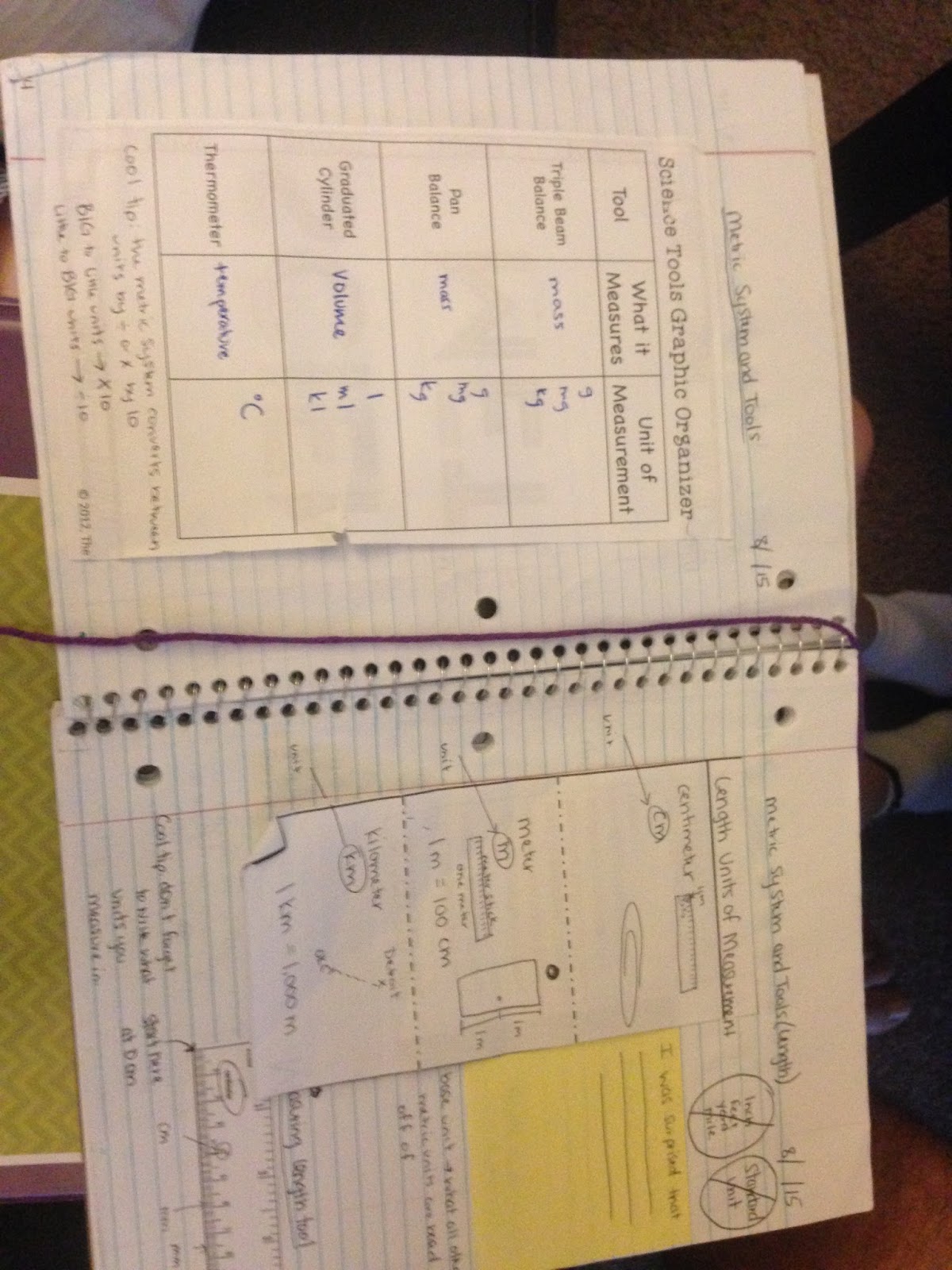 The Tales of 5th Grade Science: Science Notebook