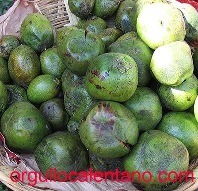 Soy de Tierra Caliente: Frutas - Olores, sabores y colores de Tierra ...