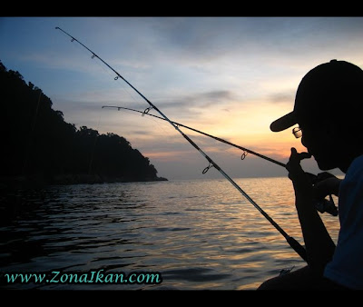 Teknik-Teknik Mancing di Laut | Tips Peternakan, Budidaya, dan Pertanian