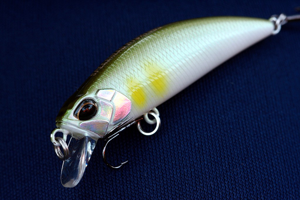 Fishing In Croatia (and in the neighbourhood): First Impressions of Duo ...