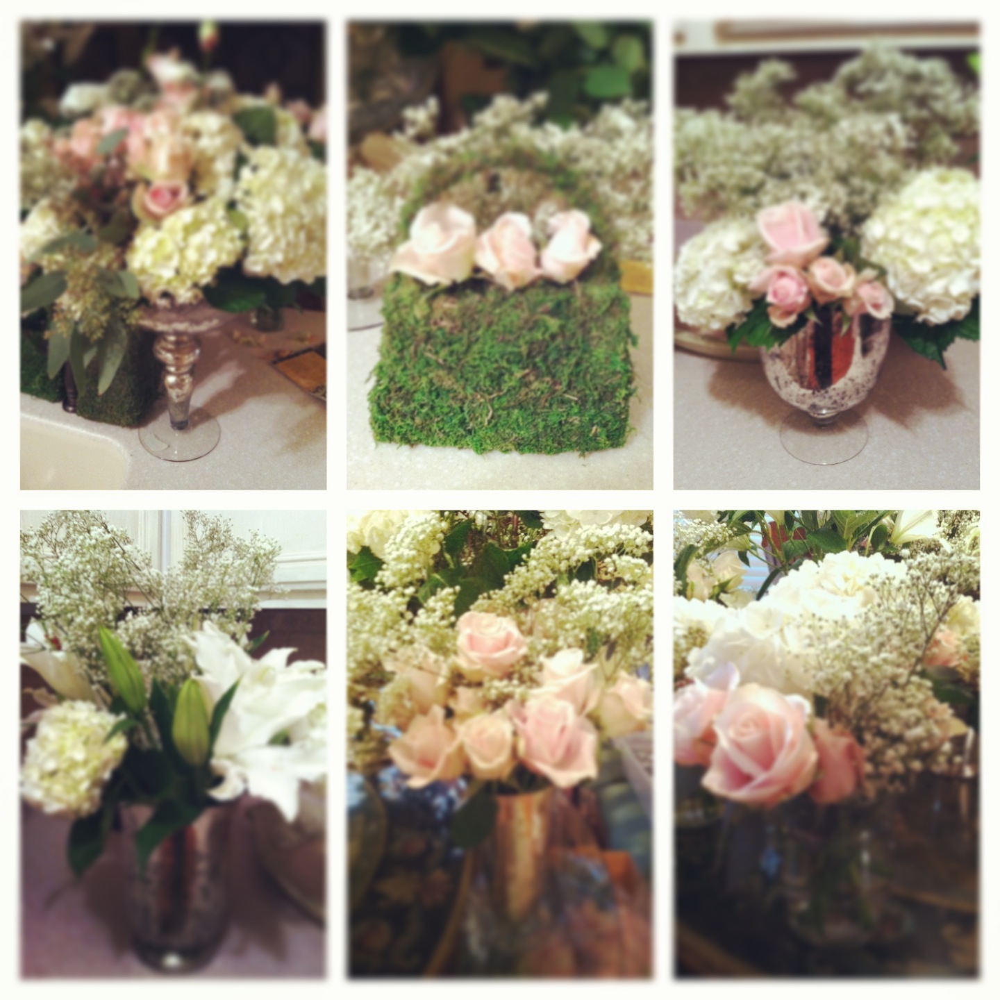 Bellissimo and Bella: A Wedding Reception